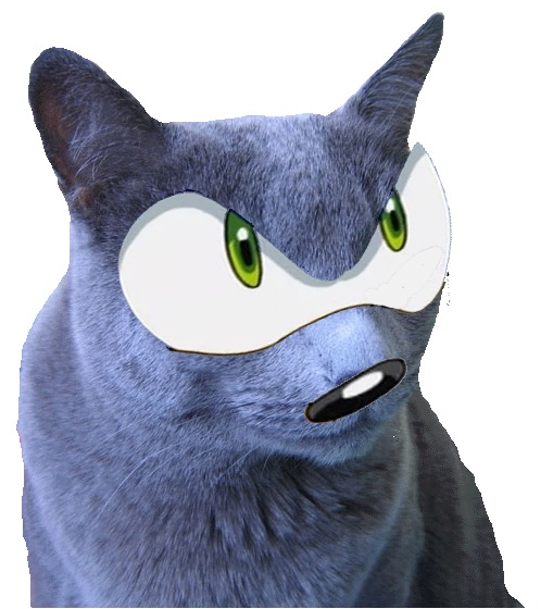 Sonic_cat - TheSixthAxis